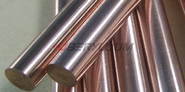 Astm Uns C17510 Beryllium Copper Round Bar 8x500mm
